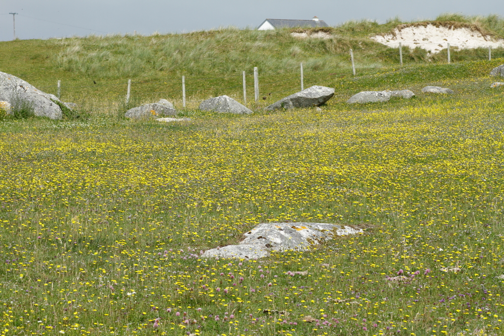 Dermot Breen's Blog: July 2013