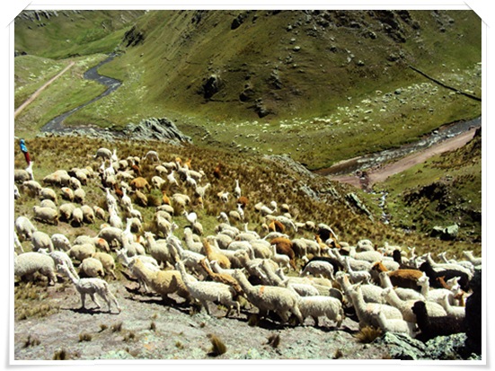 ARTE Y CULTURA DE CARABAYA DESDE EL ALLINCAPAC: CARABAYA: "CAPITAL ...
