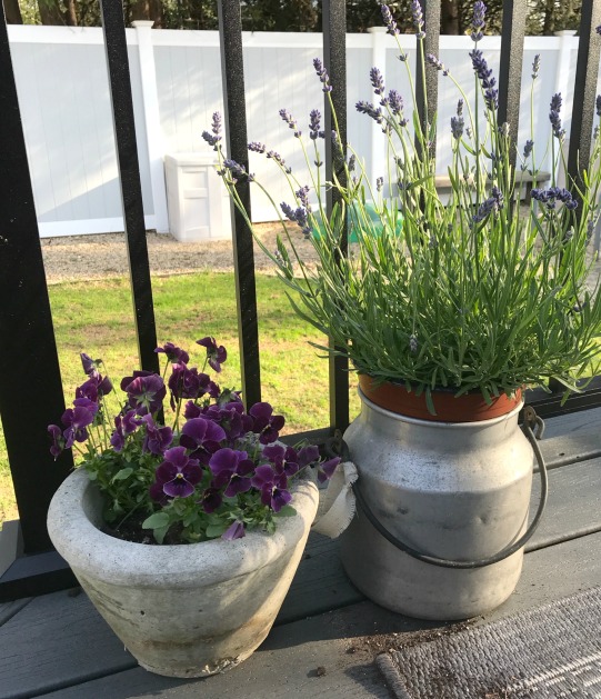 Repurposed Planter Ideas for the Garden