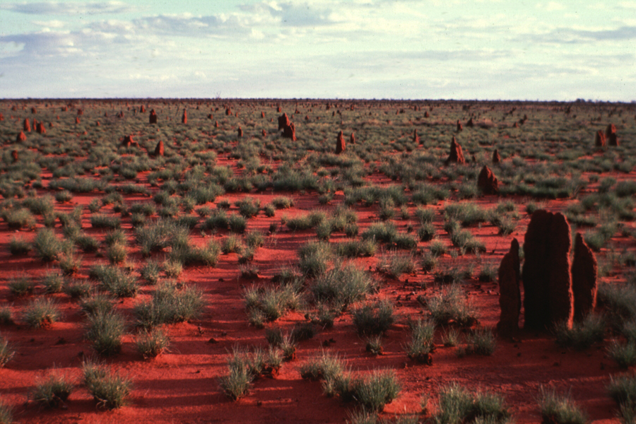 Tanami Desert - Most Famous Places