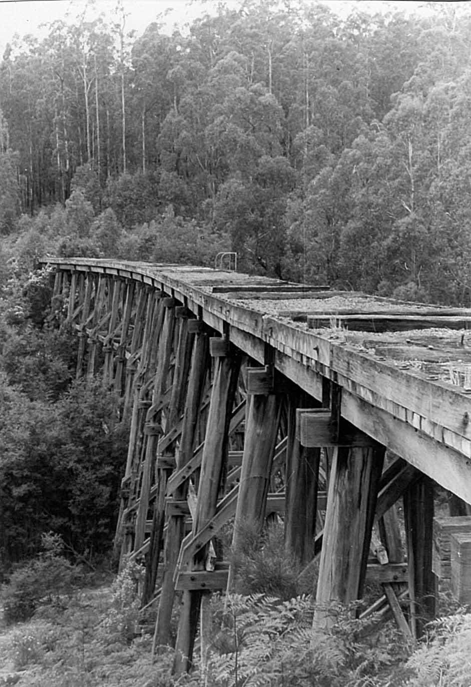 Abandoned But Not Forgotten: Noojee Line - Bridge Number 7