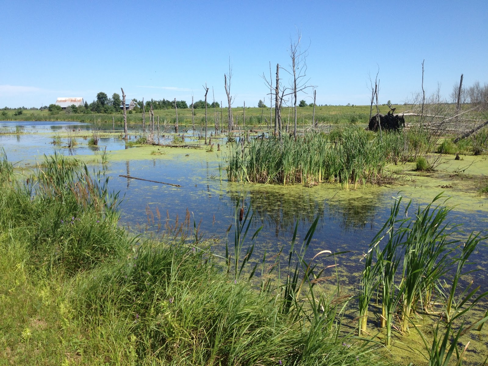 MONTREAL /VANCOUVER BY BIKE...l'aventure à vélo: Quyon (Québec ...