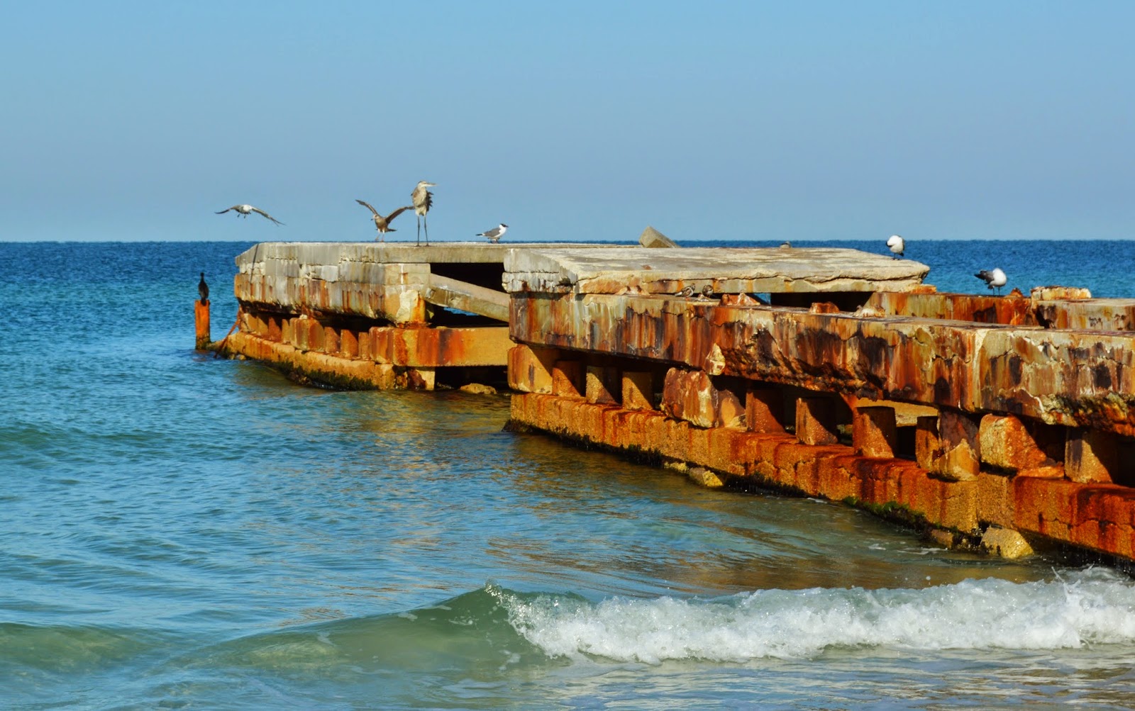 Sassytrash: Springtime in Florida