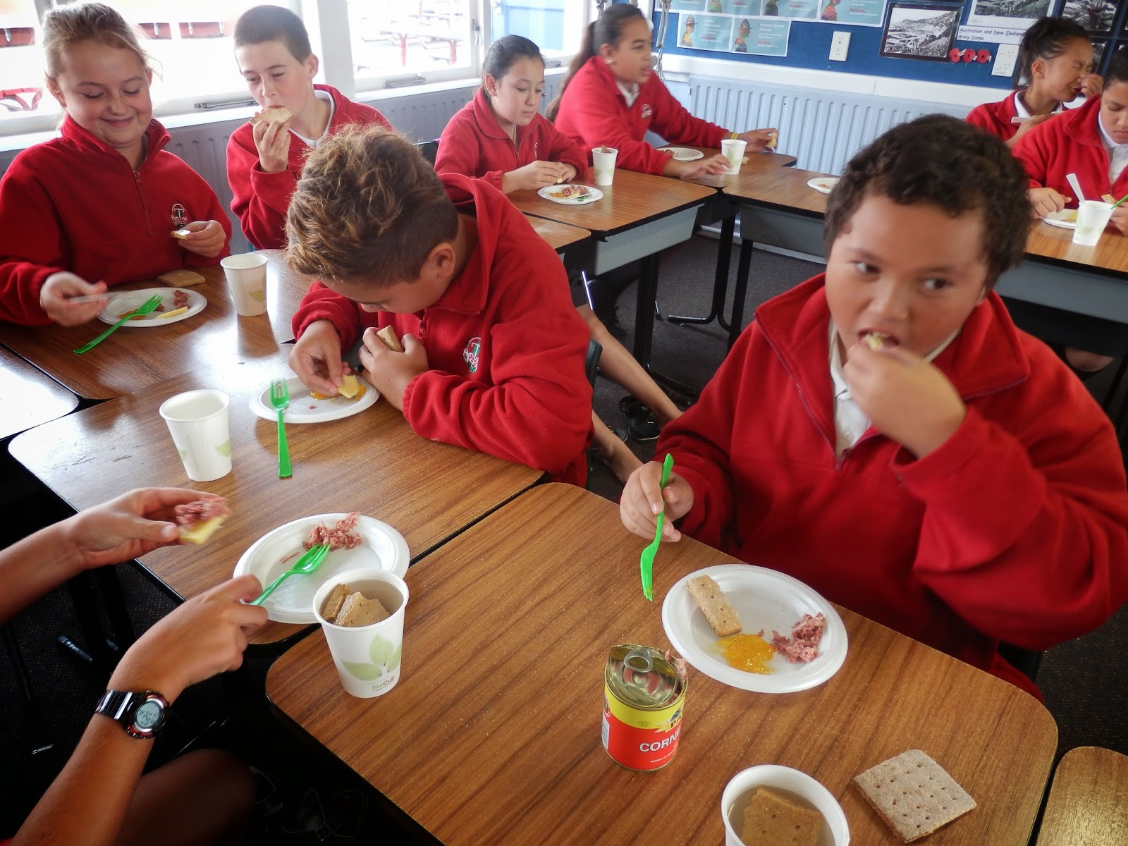 Room 10 Tokoroa Intermediate: April 2015