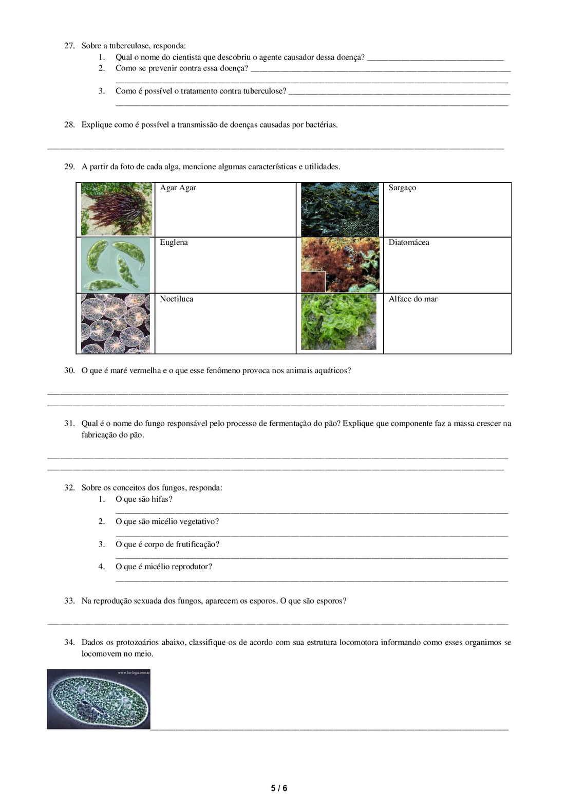 Atividade Ciencias 7 Ano - ZULEDU