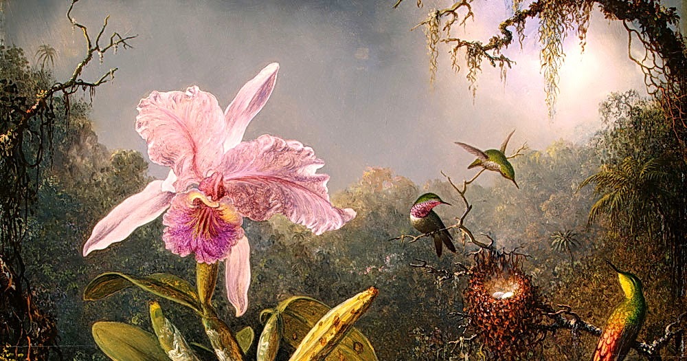 ultimul anotimp...: Orhideea