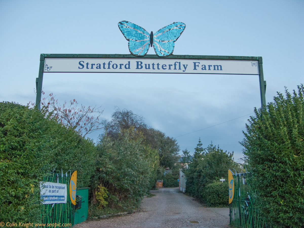 Postcards from Sussex: Stratford Butterfly Farm