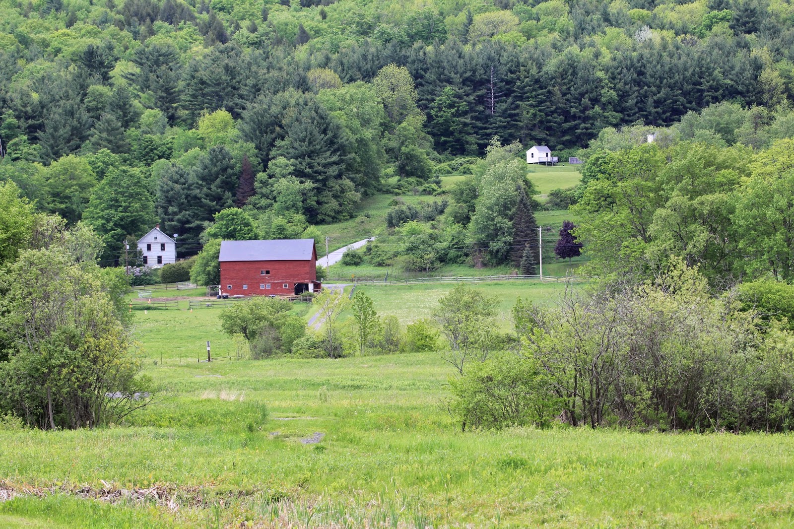 Looking Out from Central Massachusetts: Class Trip #4 to Beartown SF ...