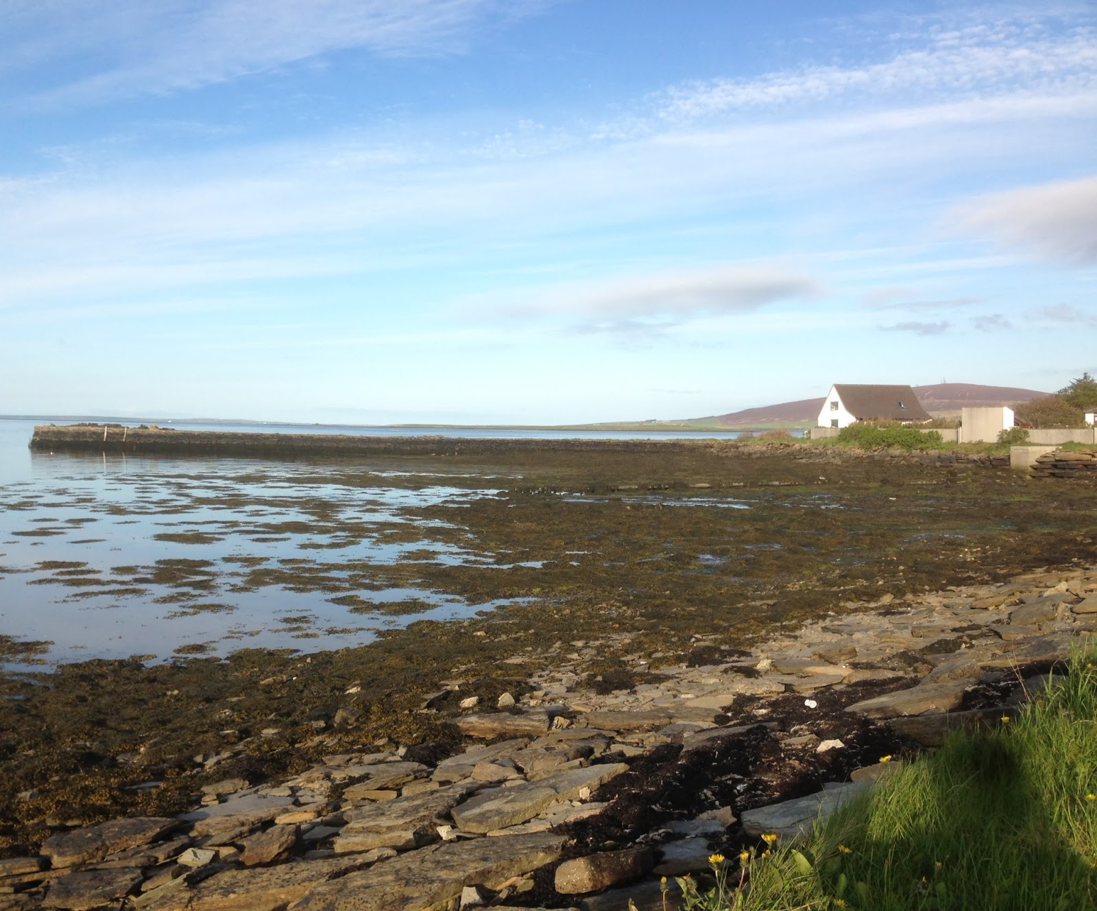 The wind and the wellies: Haud yer wheesht and get oan wae it
