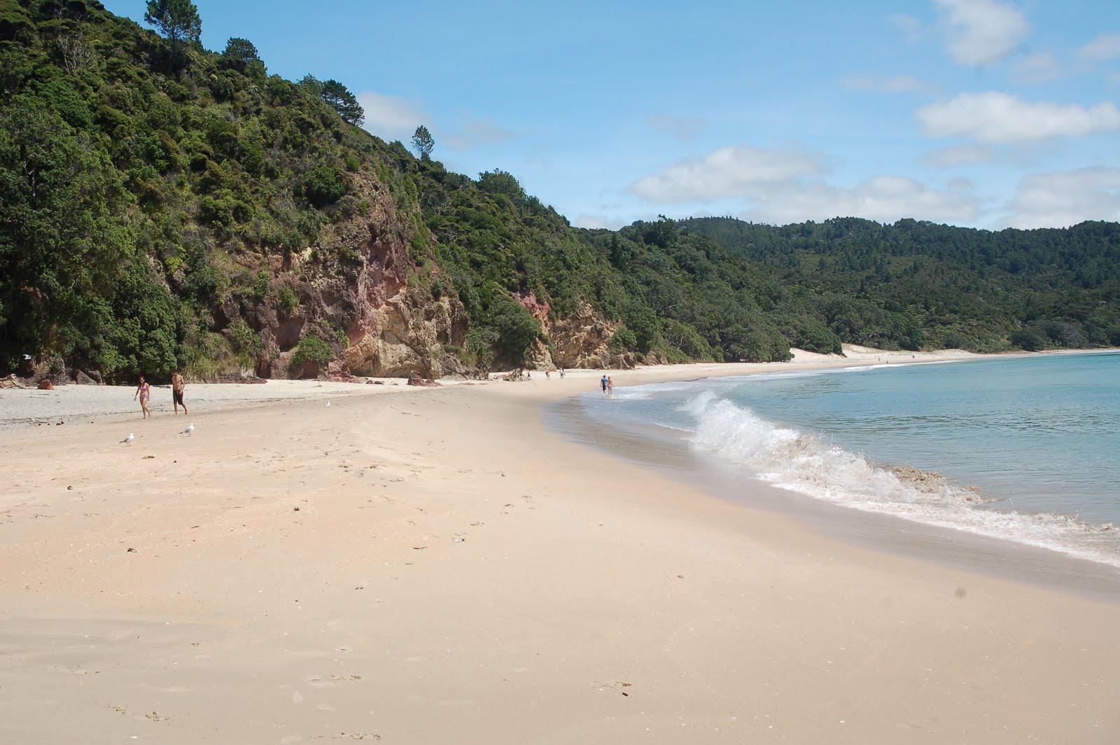 Our Party of 4: New Zealand Part 4 {New Chums Beach}