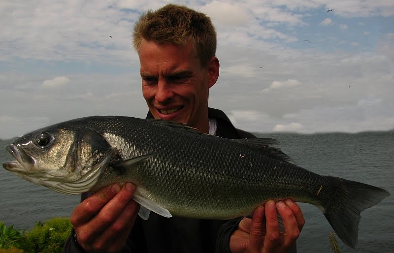 Zeebaarsshop.nl Blog - Dutch Bass Fishing: Oneerlijke zondag