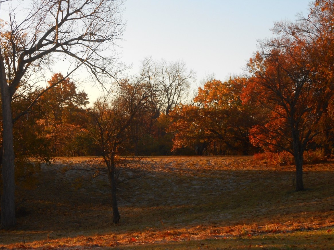 The Lucas Countyan: Sunday morning rises at Red Haw State Park