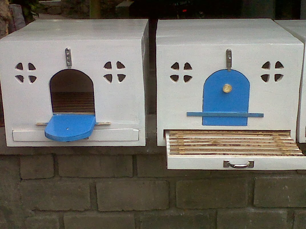 merpati: CONTOH KANDANG MERPATI HIAS