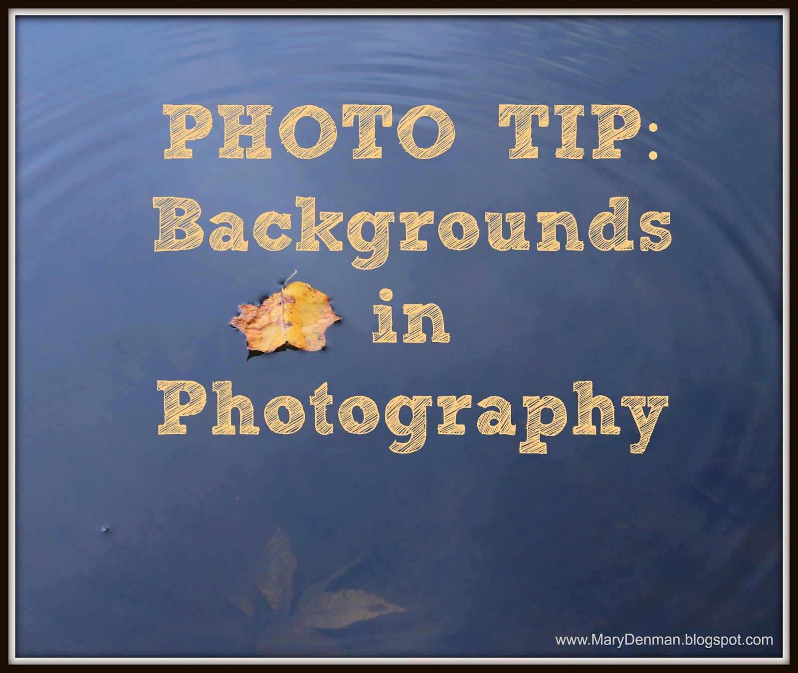 Mary Denman: Photo Tip Friday: Backgrounds in Photography