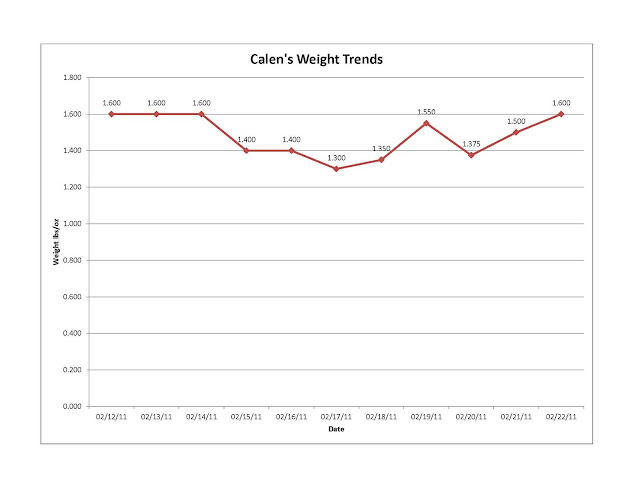 The Journey of Calen Reed Clopp: Ultrasounds Galore! Day 11!