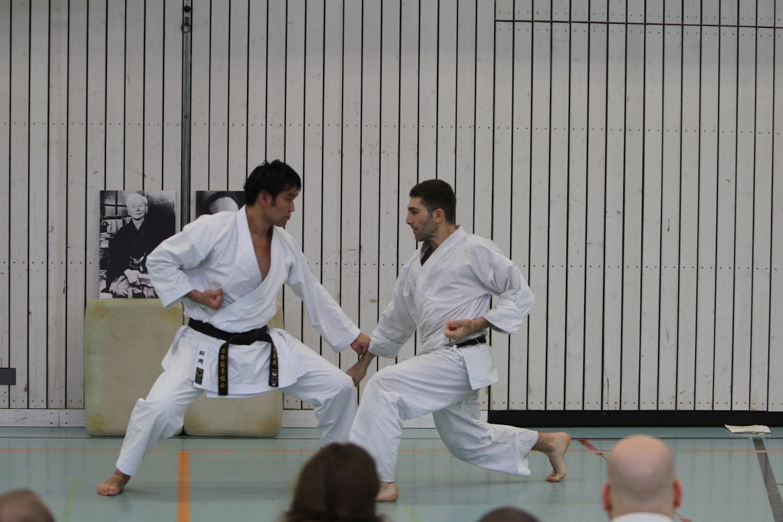 André Bertel's Karate-Do: ANDRE BERTEL SEMINAR – KREFELD, GERMANY 2017 ...