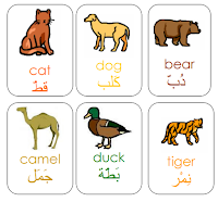 Arabic Vocabulary | TJ Homeschooling