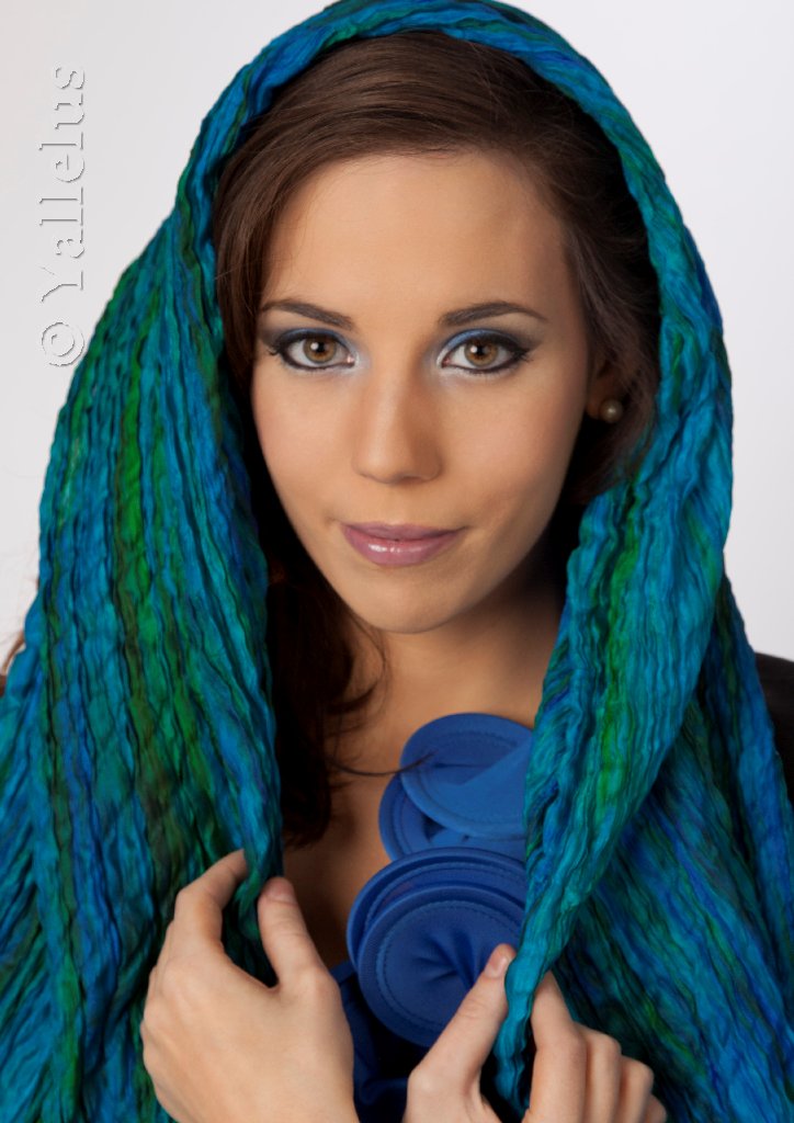 The Life of Sherrie Gearheart: December 2011