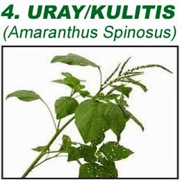 First Vita Plus Lifestyle = Health.Wealth.Time Freedom : First Vita ...