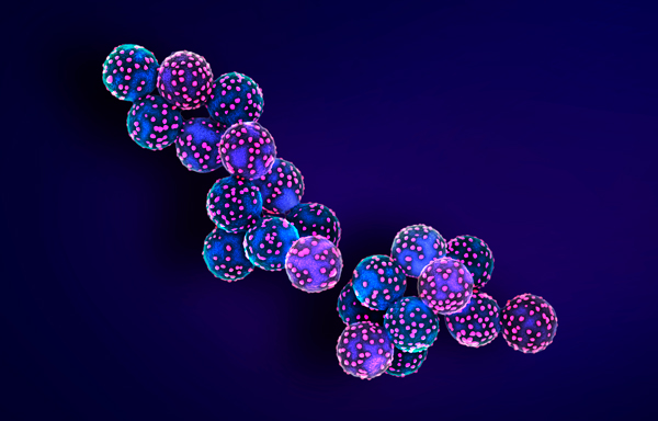 Synthetic viruses-Anything new?