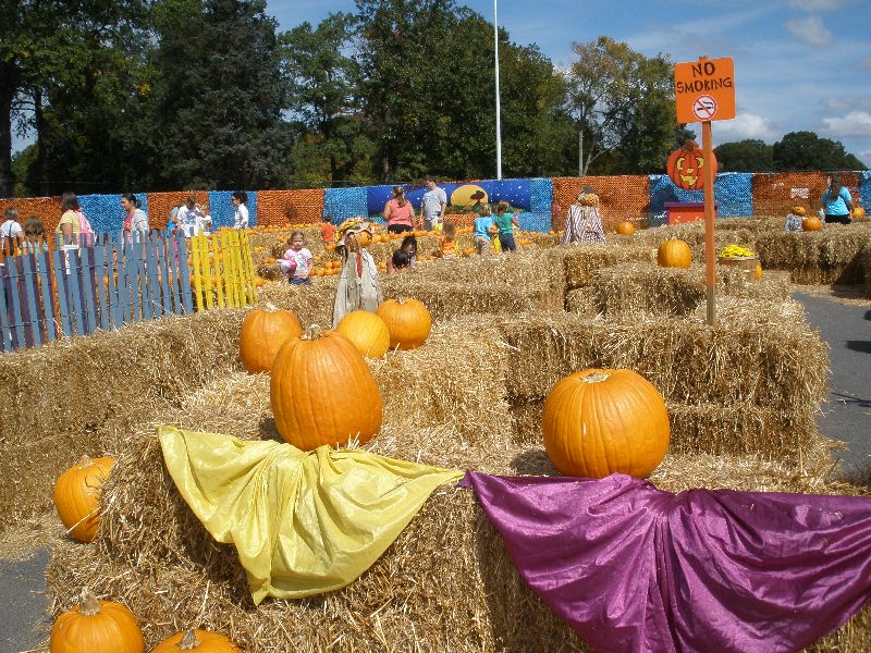 Unser Leben in den USA: Halloween im Carowinds / SCarowinds