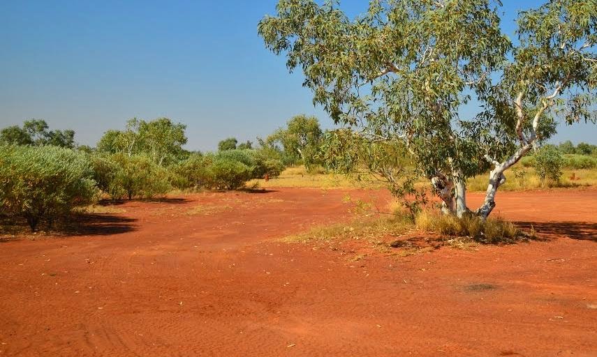 Universe Beauty: Great Sandy Desert, Australia
