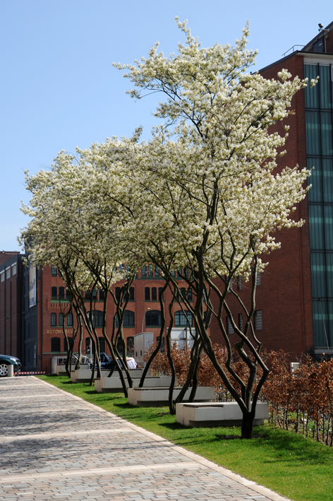 Beth Galí | BB+GG arquitectes