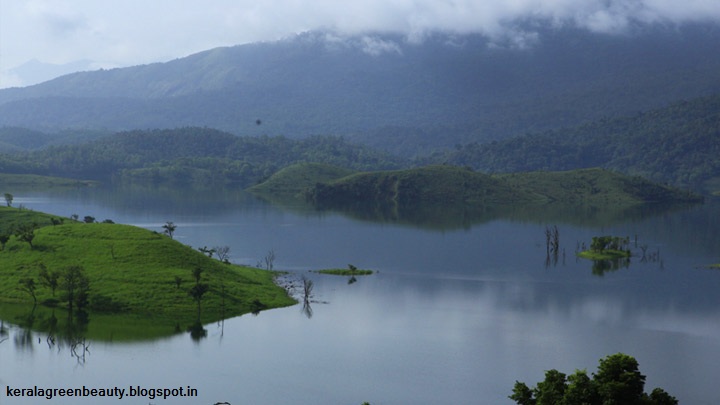 Wayanad- Green paradise of Kerala ~ Kerala Green Beauty