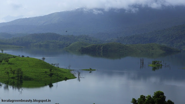 Wayanad- Green paradise of Kerala ~ Kerala Green Beauty