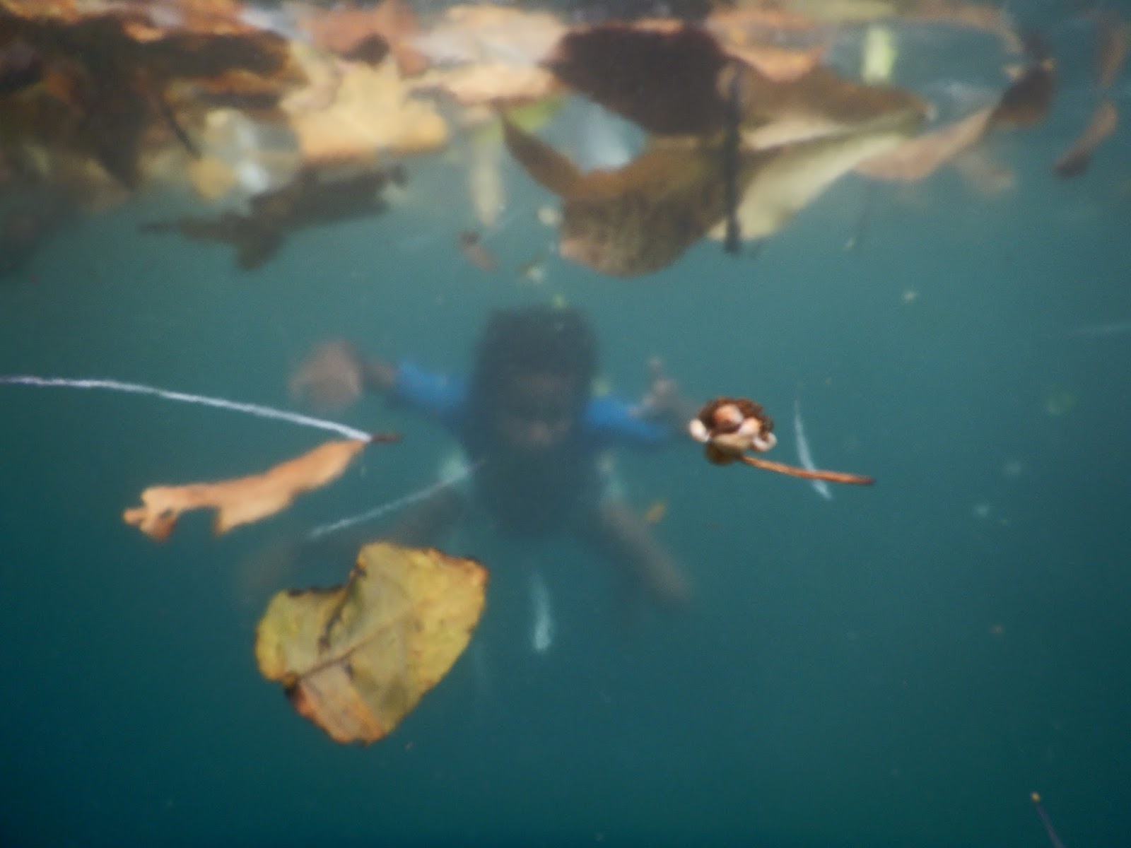 'Venturing in Vanuatu: Maewo