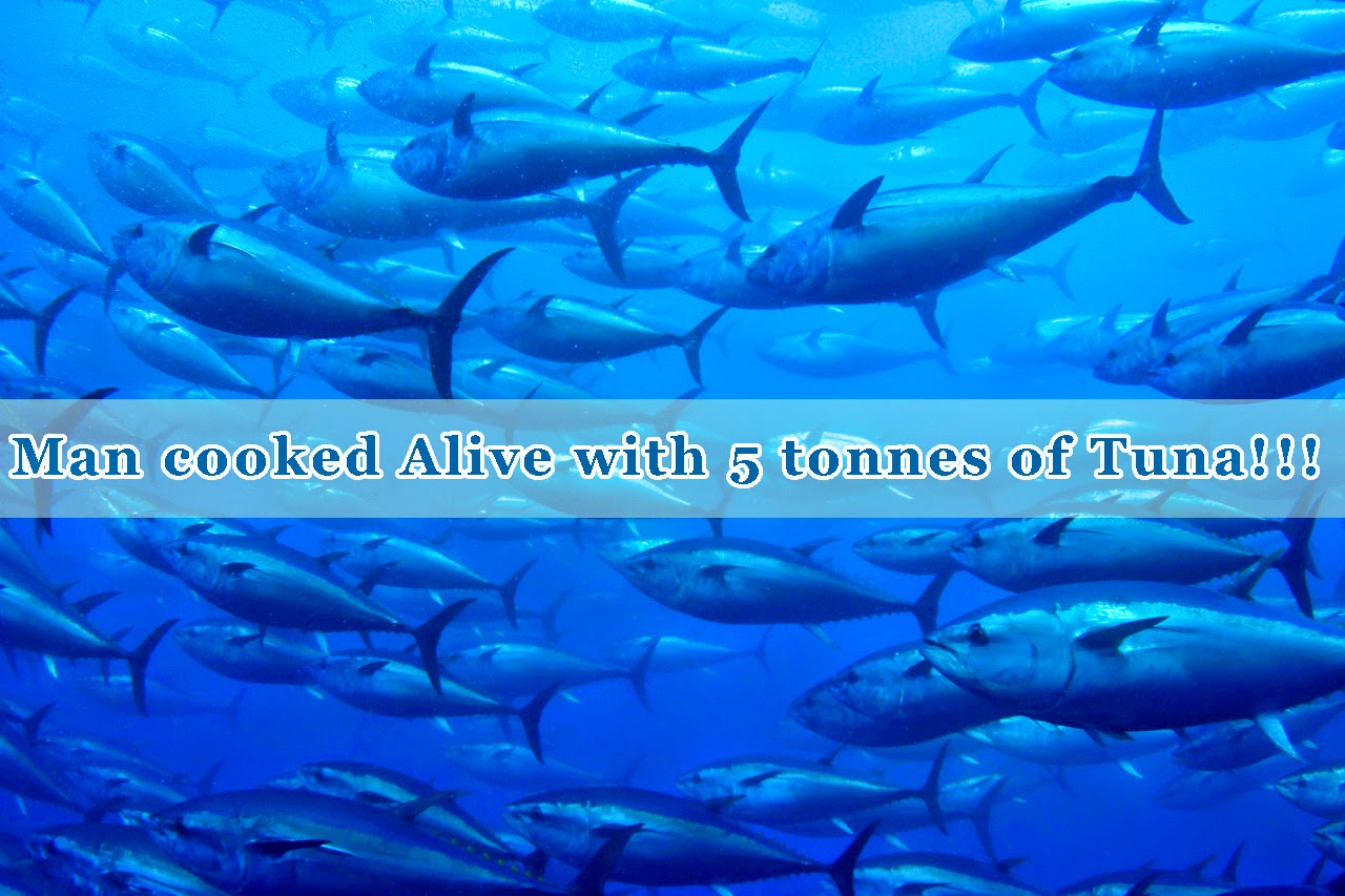 Man cooked Alive with 5 Tonnes of Tuna Fish!!! - English news