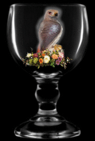 Sparkling Objects in Wine Glasses and Bottles | Random Girly Graphics