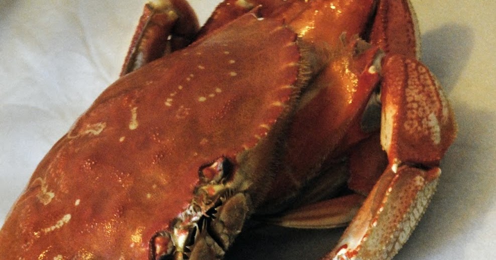 Dungeness Crab Salad with Meyer Lemon Vinaigrette #FishFridayFoodies