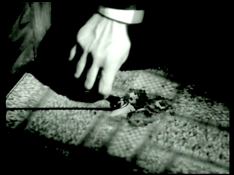 memento: "The window" de Ted Tetzlaff