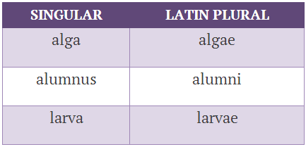 Plural: Foreign Nouns | Latin and Greek - Summerhill STUDIO | Grammar