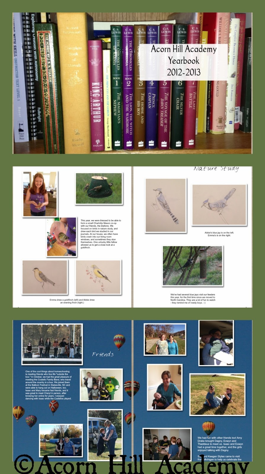 Acorn Hill Academy: REVIEW: Picaboo Yearbooks