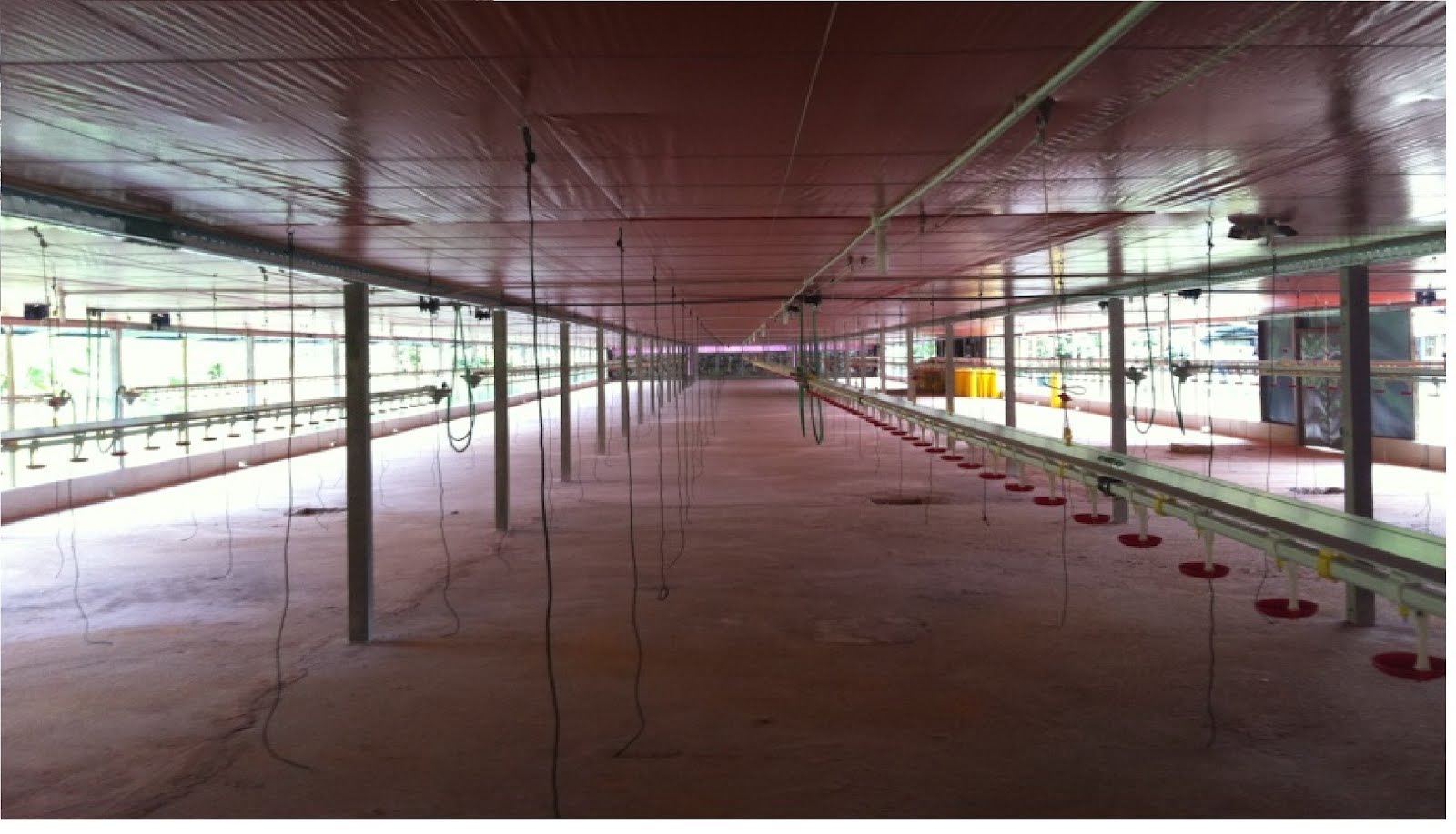 Pembinaan Reban Ayam | Maria Firdaus