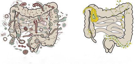 Terviseakadeemia uus hingamine- uus elu: Parasiidid ja nendega toimetulek