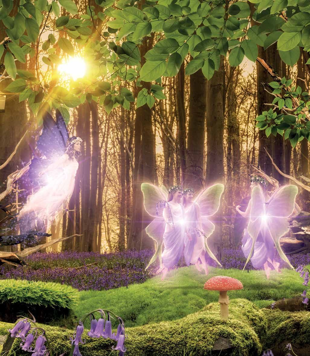 New Age Mama: Fairy World - A Beautifully Illustrated Journey into the ...