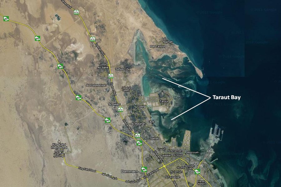 Birds of Saudi Arabia: Taraut Bay - Location Details