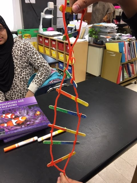 Dna Helix Model Project