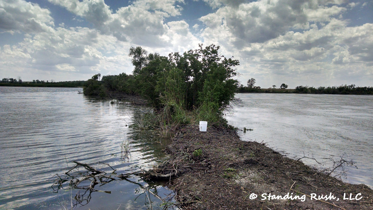 Moment in the Marsh: 2016
