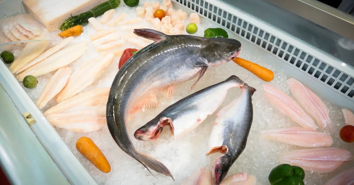 Taksonomi dan Morfologi Ikan Patin (Pangasius sp.) - GO-PERIKANAN