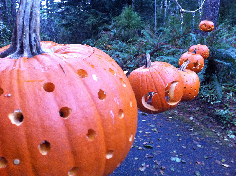 Floating Pumpkin Hanger Kits - Suspend REAL Pumpkins Anywhere: Photos Page
