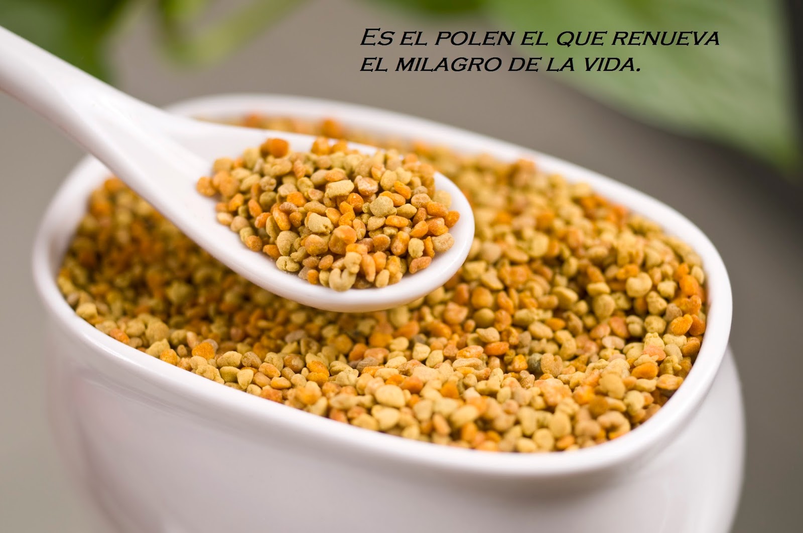 Salud y Vida Natural: Polen de flores: Extracto de la naturaleza para ...
