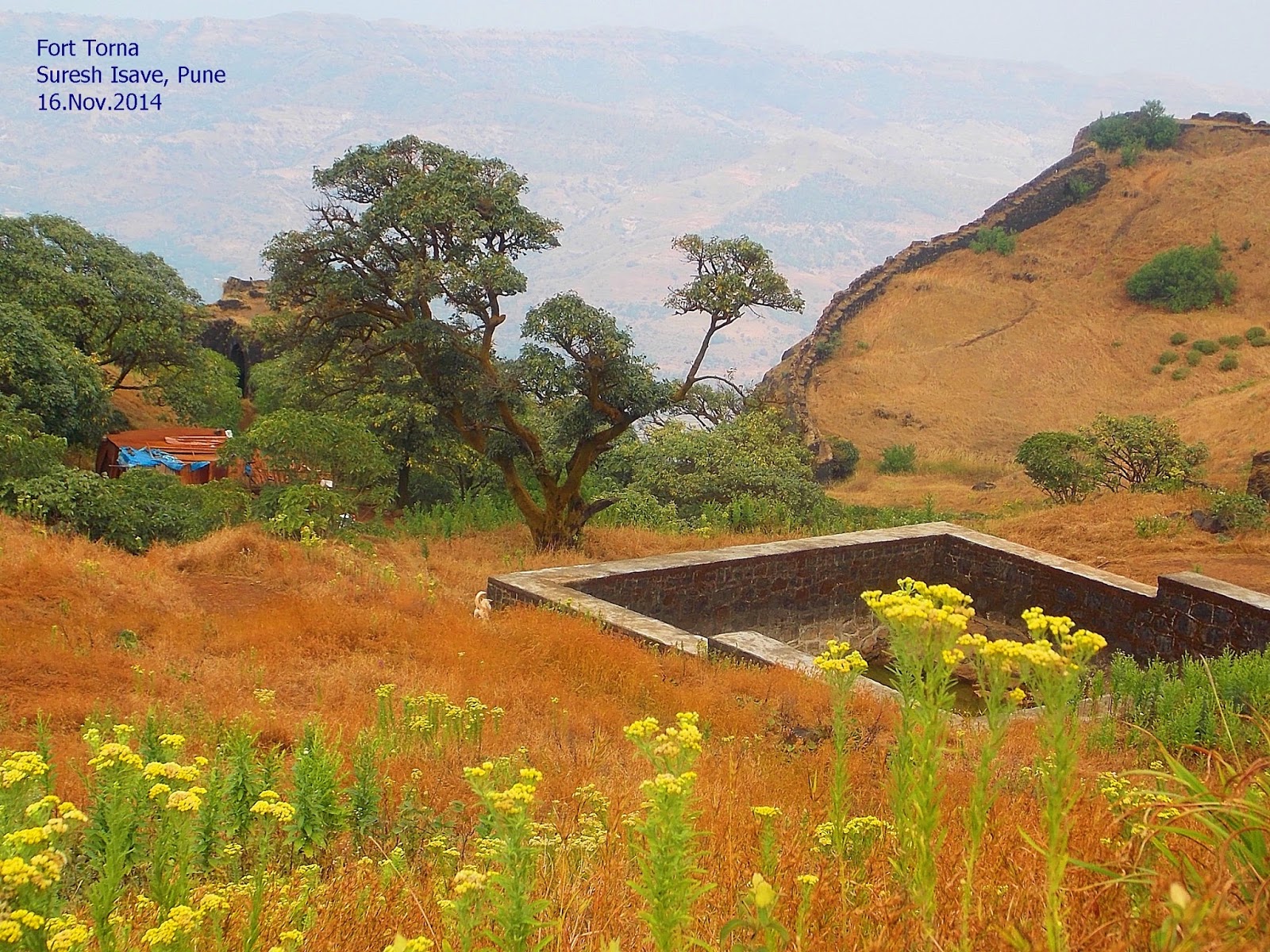 My Treks n Tours: Torna Fort ( Prachandgad) Trek