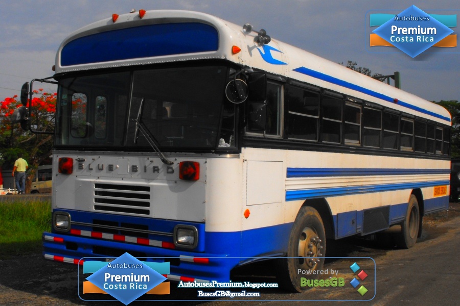 Autobuses Premium Costa Rica: Autobuses Premium Costa Rica: Blue Bird ...
