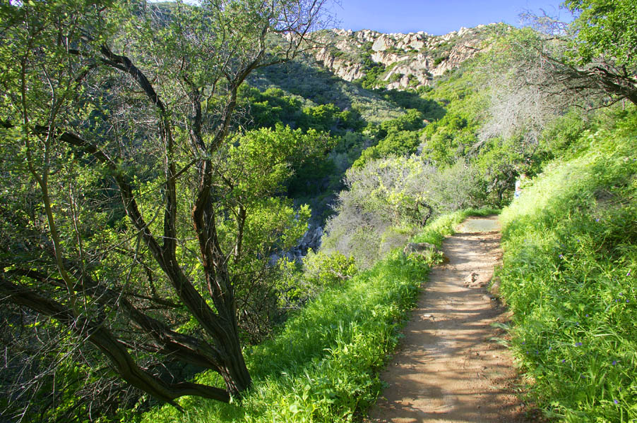 Real Chick Hiking: Travel and Camp on Durable Surfaces