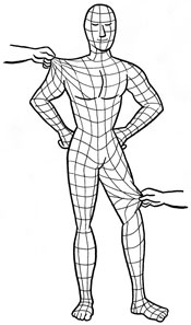 Tucson Structural Bodywork: Facts about Fascia