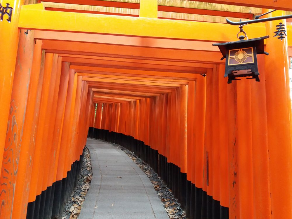 El mundo a tus pies: El Templo Fushimi Inari Taisha en Kioto